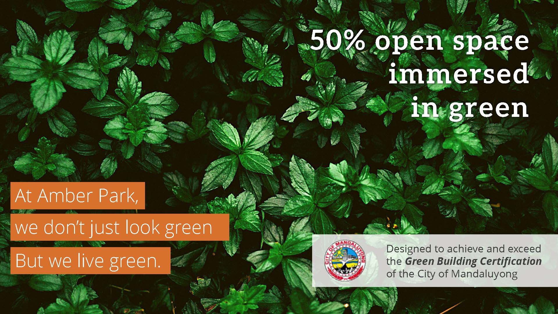 Amber Park – CDC Homes